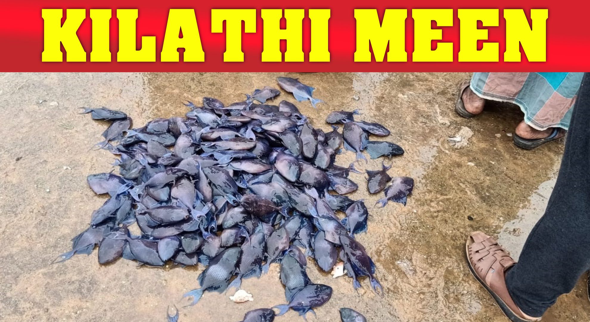 அறிவியல்புரம் | Ariviyalpuram | Ariviyal News | Ariviyal